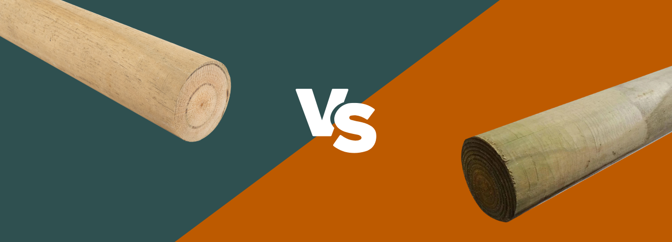 Polines vs. Rolletes Impregnados: Pros, Contras y Cómo Elegir la Mejor ...